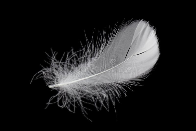 Light as a feather stock photo. Image of lonely, side - 56922046