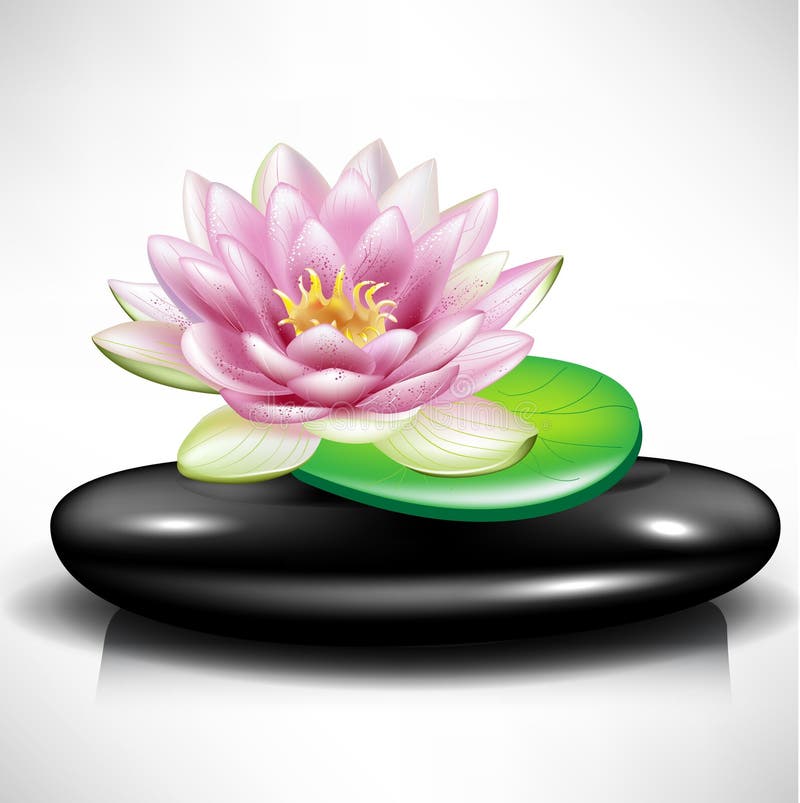 Single Spa Stone/pebble with Lotus Flower Stock Vector - Illustration ...