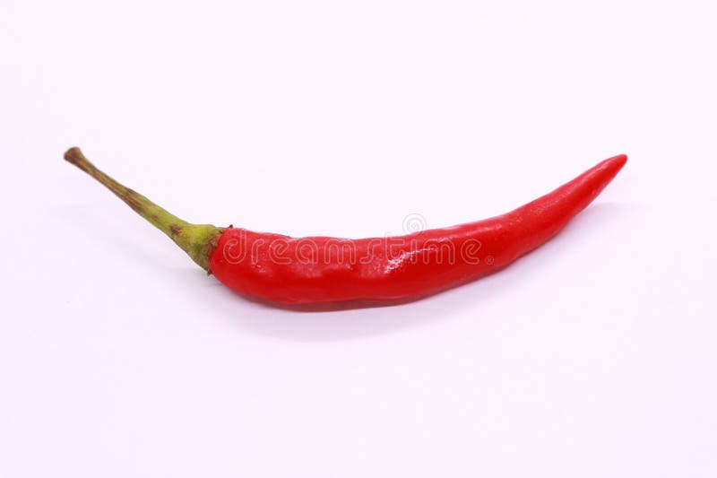 Single Spicy Red Chili Pepper Stock Photo - Image of spicy, chili ...