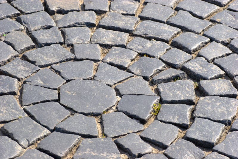 Single Sprout Rocky Pavement Stock Image - Image of architecture ...