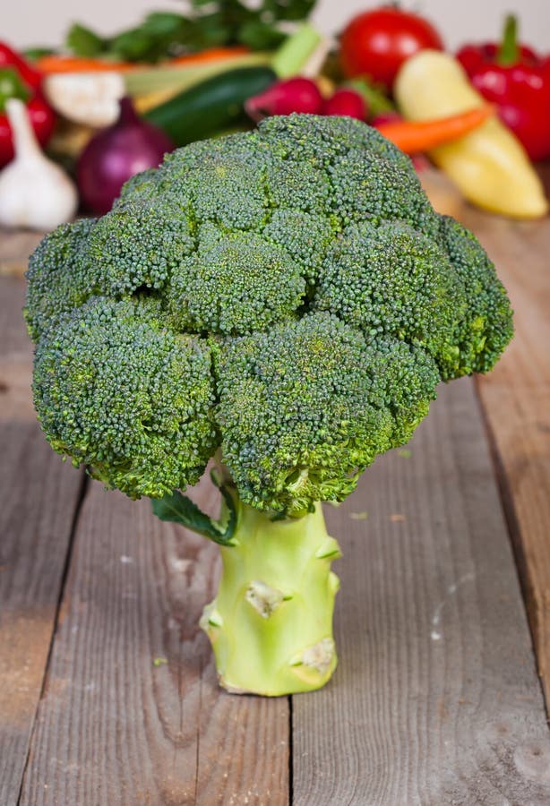Single sprouting broccoli stock image. Image of crop - 33235847