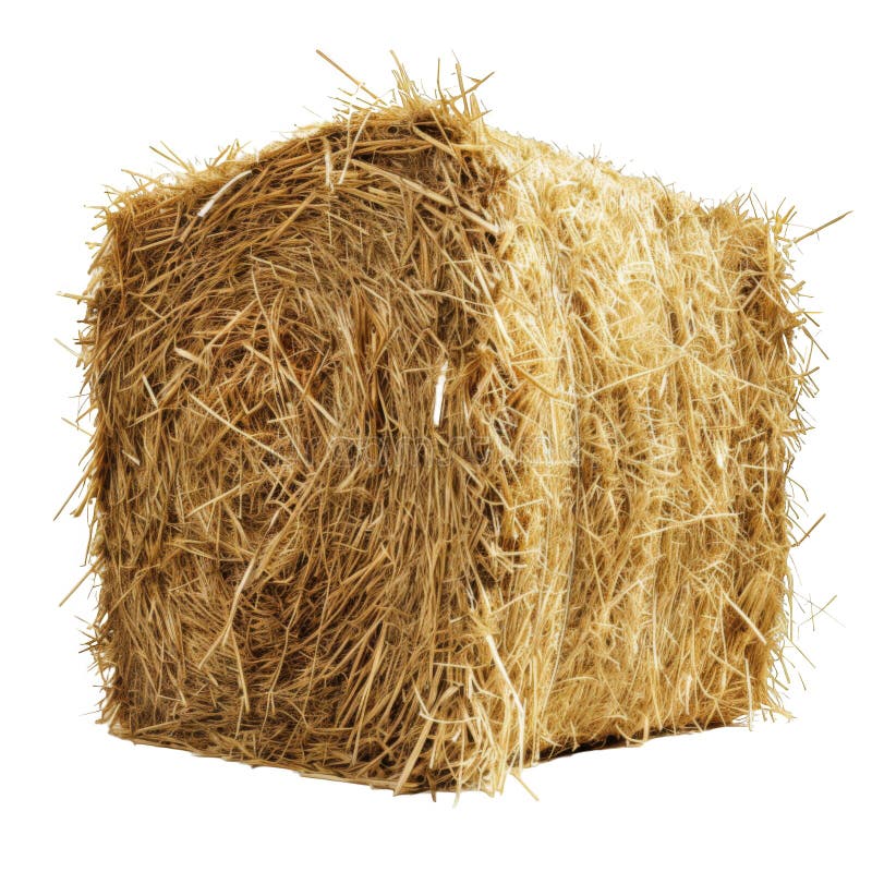 A Single Square Hay Bale stock photo. Illustration of brown - 331183004