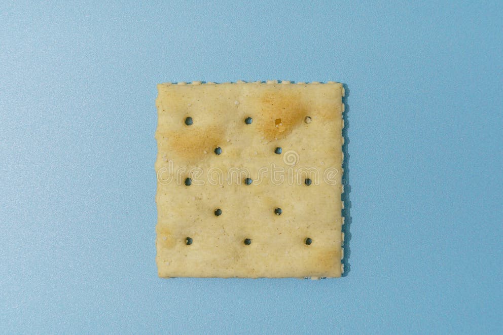 Single Square Saltine Cracker on Blue Background Stock Photo - Image of ...
