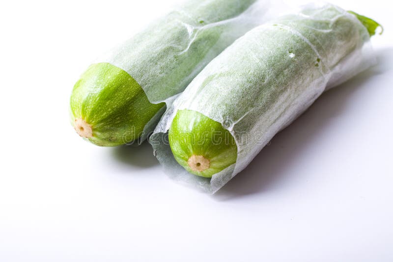 Zucchini stock photo. Image of food, path, squash, fresh - 107425774