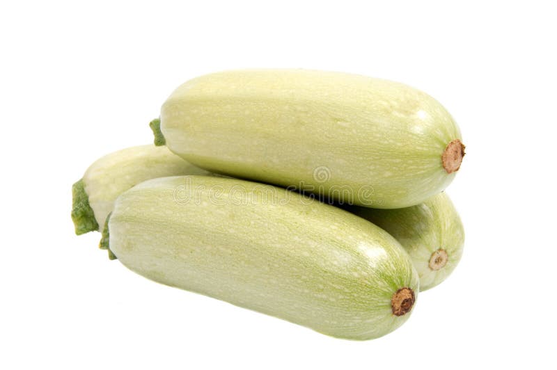 Single Squash Vegetable Marrow Zucchini Isolated Stock Image - Image of ...