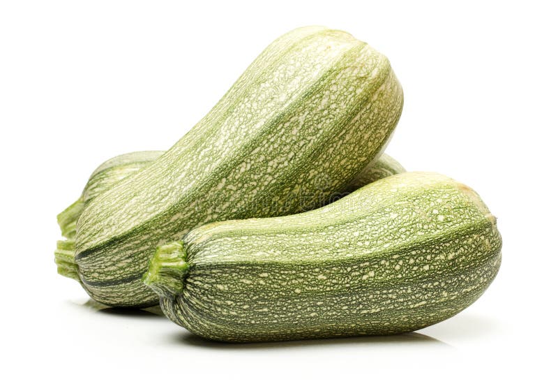 Single Squash Vegetable Marrow Zucchini Isolated Stock Photo - Image of ...