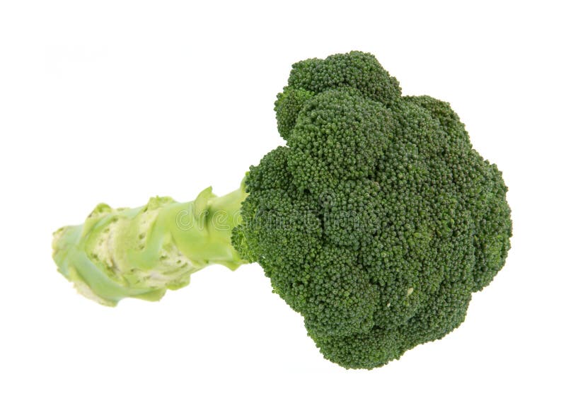 Single stalk broccoli stock photo. Image of single, food - 11586384