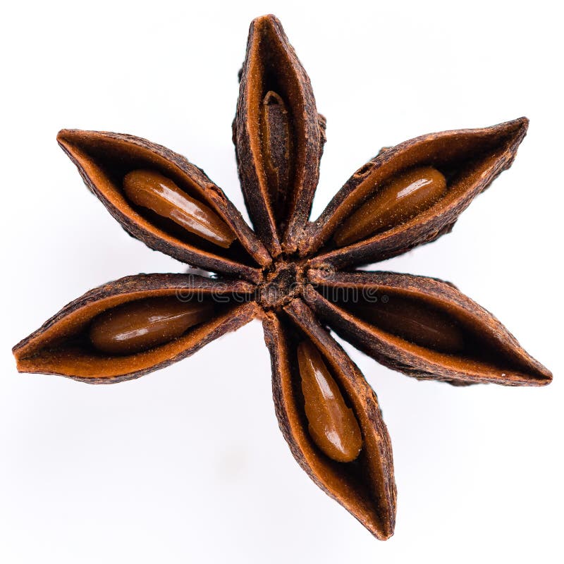 A Single Star Anise Isolated on White Stock Image - Image of cook ...