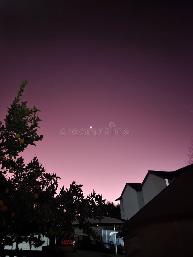 Single Star in the Purple Sky Stock Photo - Image of single, night ...