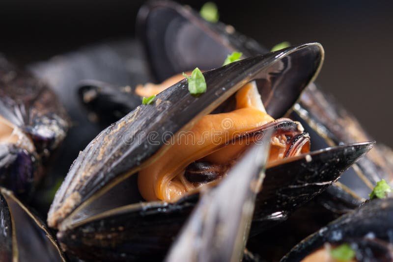Single Steamed Mussel Close-up Stock Photo - Image of saltwater, open ...