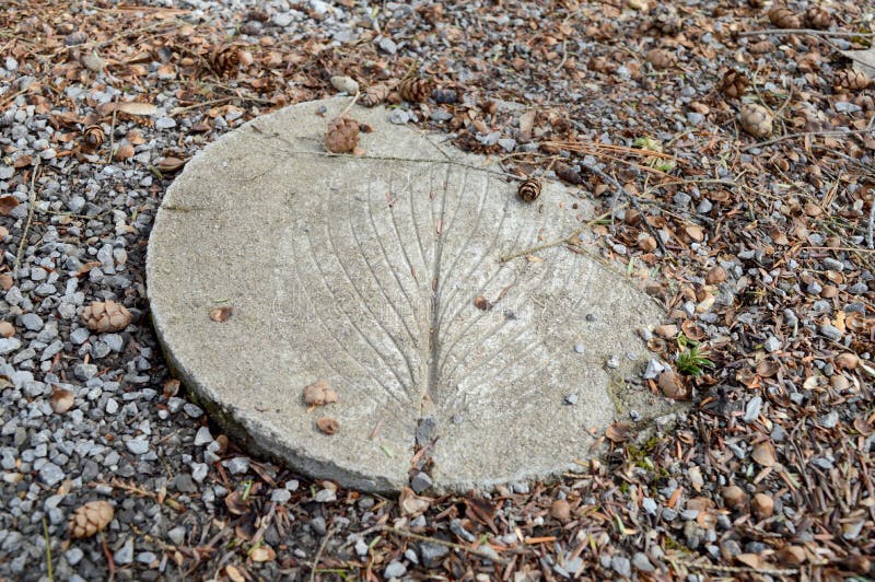 Single Stepping Stone stock image. Image of landscape - 115915857