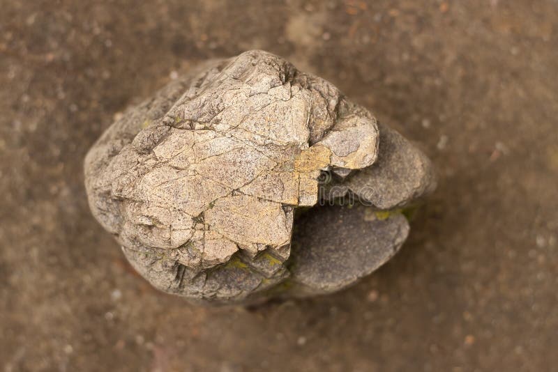 Single stone shrine stock image. Image of backgroun, rough - 43843597
