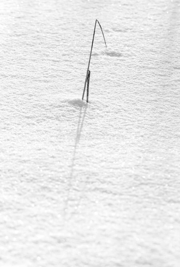 Single straw umbrella stock image. Image of lonely, golden - 27173757