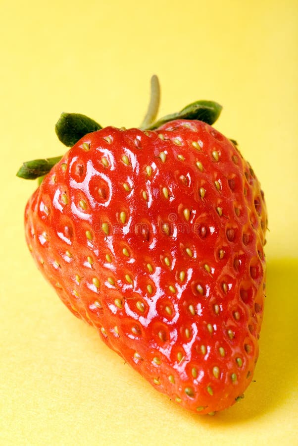 Single strawberry stock photo. Image of juicy, fresh - 13142662
