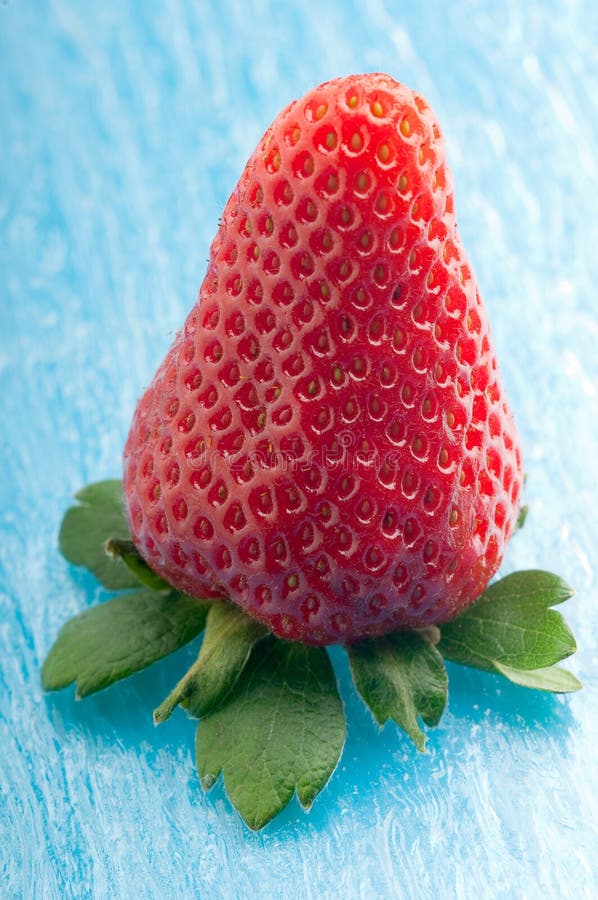 Single strawberry stock photo. Image of strawberry, mature - 13822050