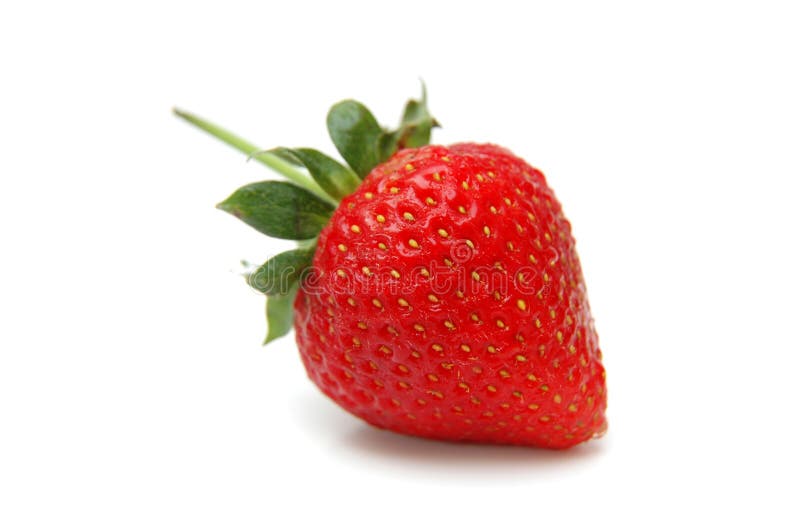 Single Strawberry stock image. Image of stalk, seed, strawberry - 2681091