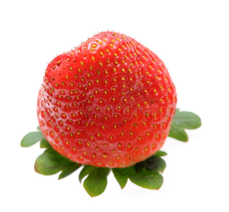 Single strawberry stock image. Image of healthy, delicious - 30187009