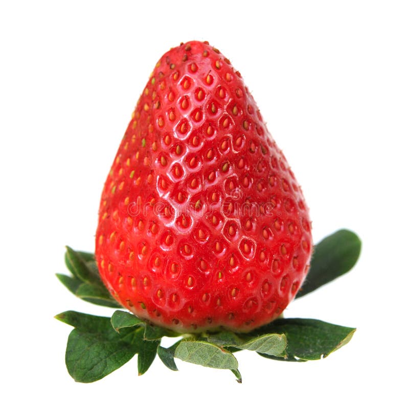 A single strawberry stock image. Image of vitamin, dessert - 29238019