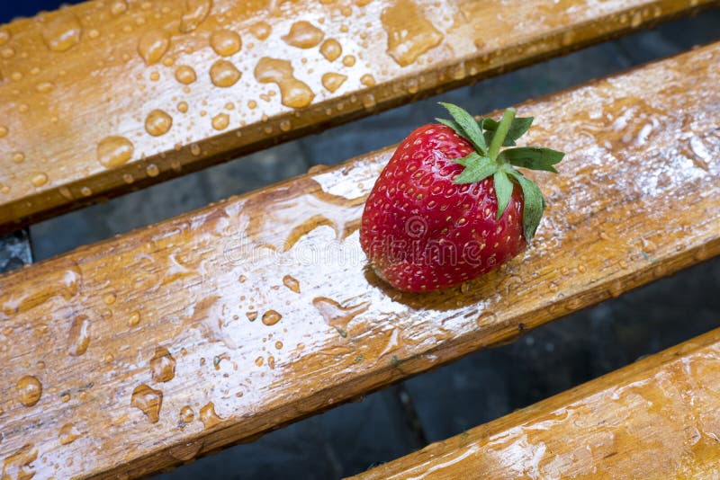 Single Strawberry on a Bench Stock Photo - Image of macro, wooden ...