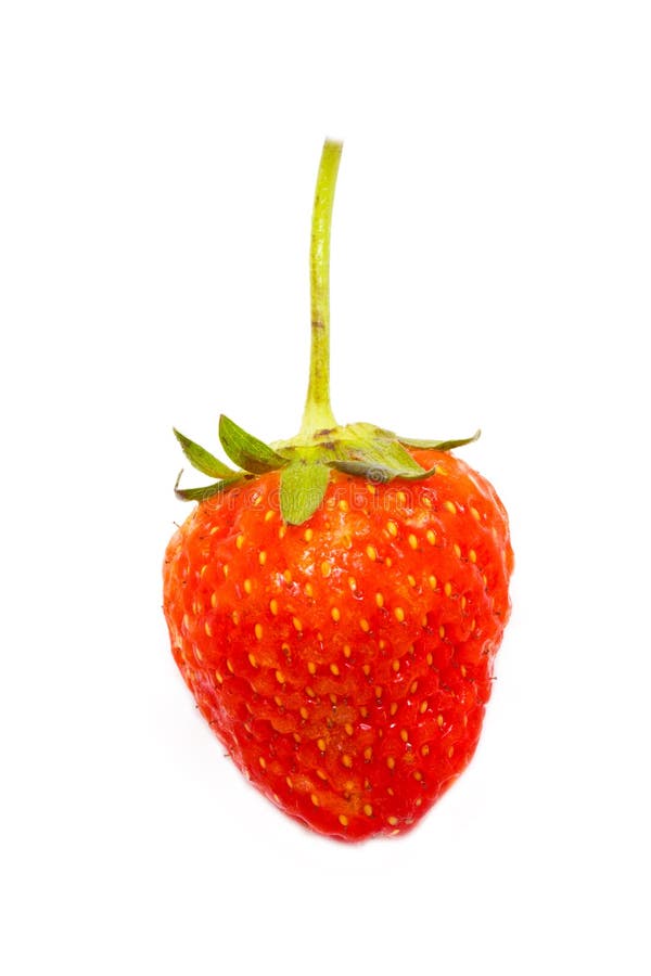 Single Strawberry Fruit. stock image. Image of delicious - 36398847