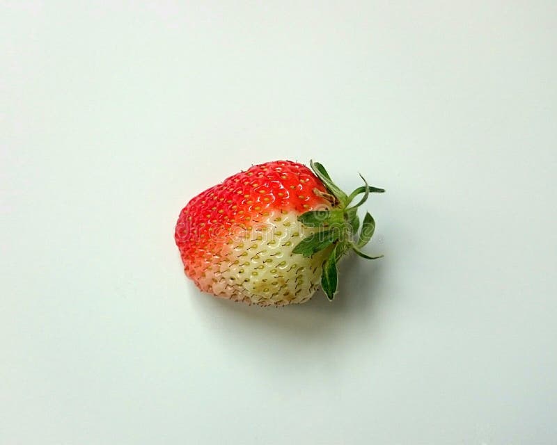 Single strawberry stock image. Image of fruit, strawberry - 70848485
