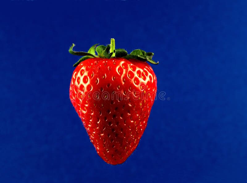 Single Strawberry Isolated on a Mottled Blue Background Stock Image ...