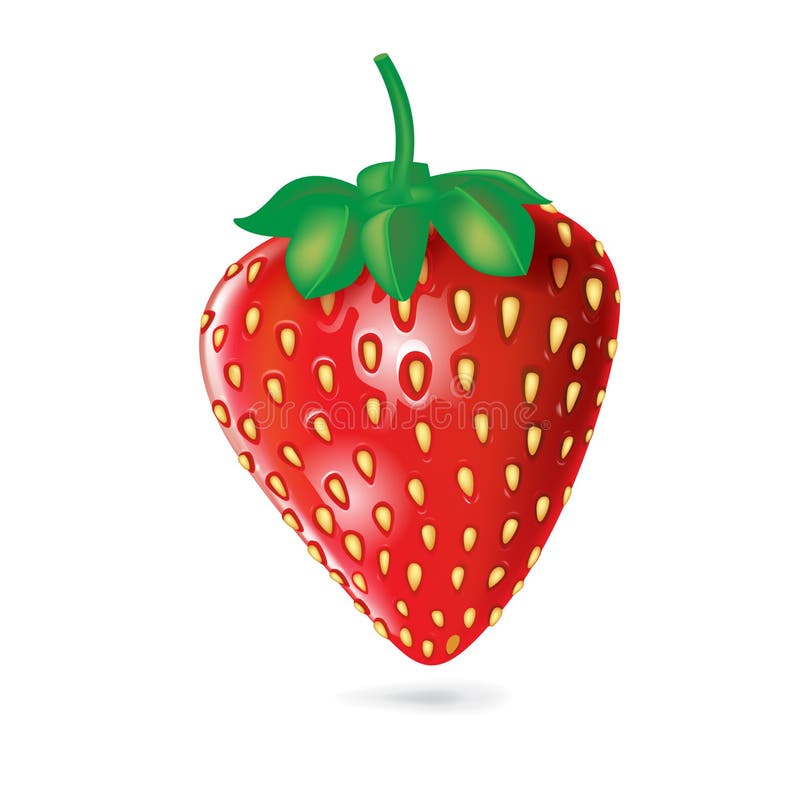 Single Strawberry Isolated on White Stock Vector - Illustration of food ...