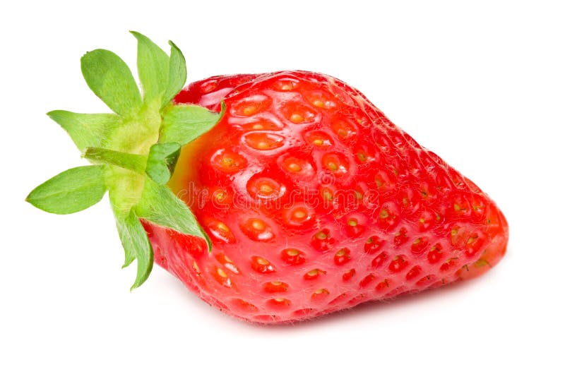 Single Strawberry stock image. Image of stalk, seed, strawberry - 2681091