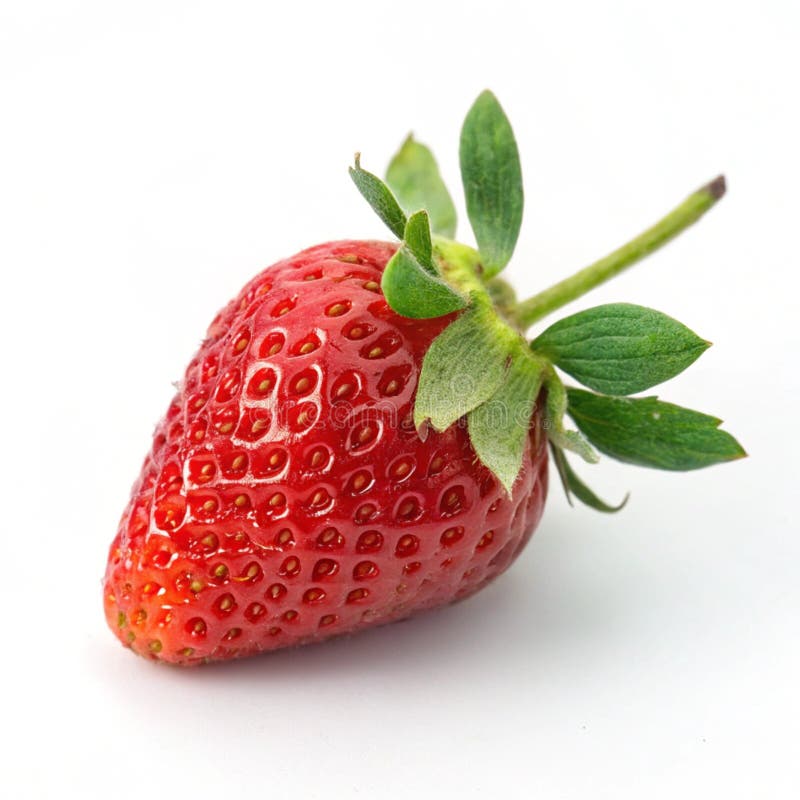Single Strawberry with Leaves Isolated on White Background Stock Illustration - Illustration of ...