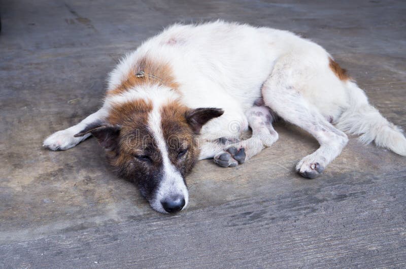 Wild Streets Cast Stock Photos - Free & Royalty-Free Stock Photos from ...