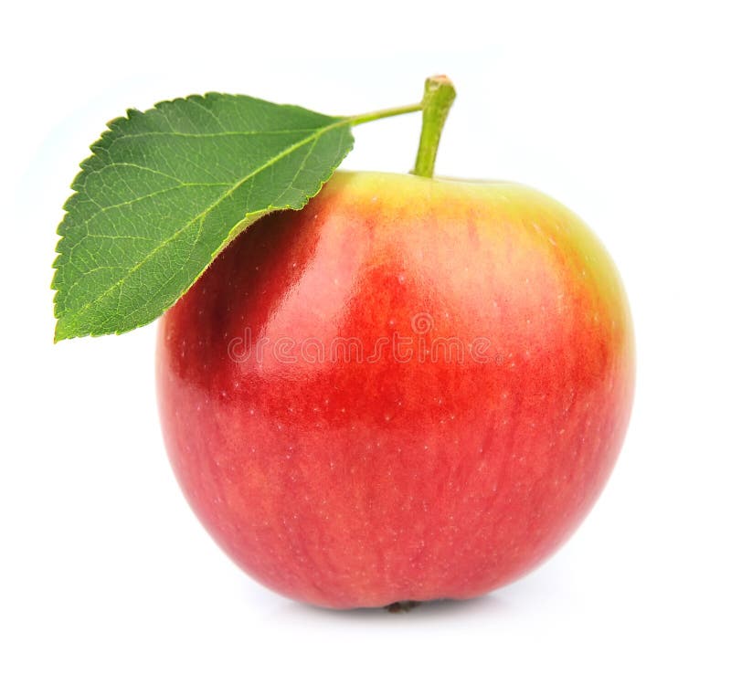 Red yellow apple with leaf stock photo. Image of colorful - 35305718