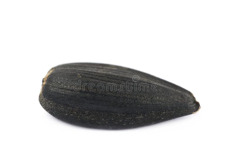 Single Sunflower Seed Isolated Stock Photo - Image of nutrition, shell ...
