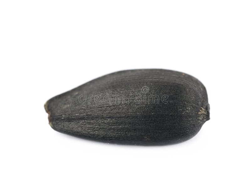 Single Sunflower Seed Isolated Stock Photo - Image of healthy, snack ...