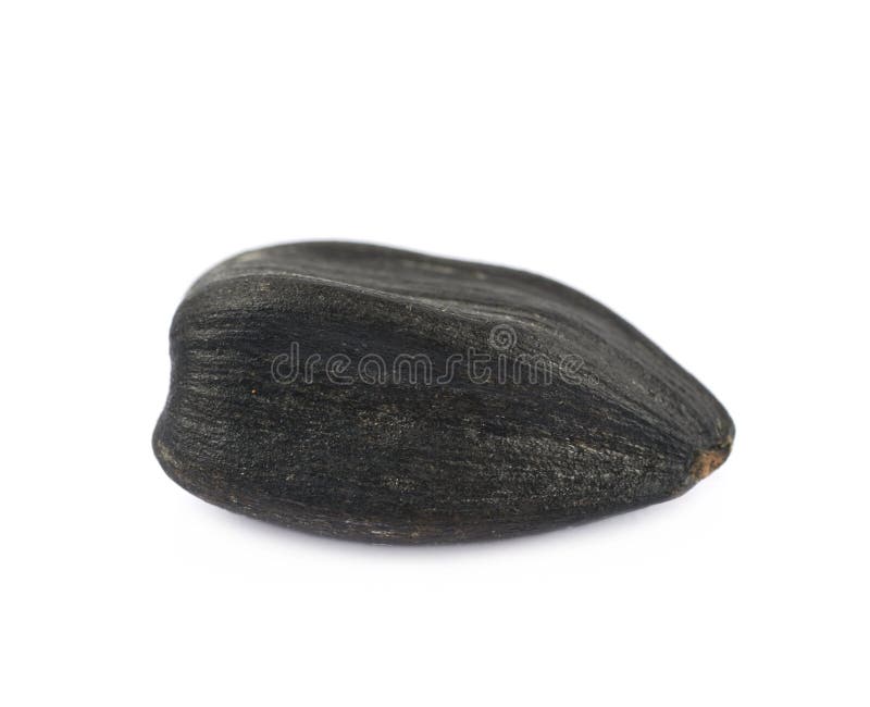 Single sunflower seed stock image. Image of black, ingredient - 85990657