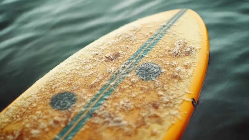 A Single Surfboard Floating on the Surface of the Water, Suitable for ...