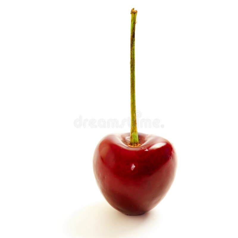 Single sweet cherry stock photo. Image of juicy, health - 10105506