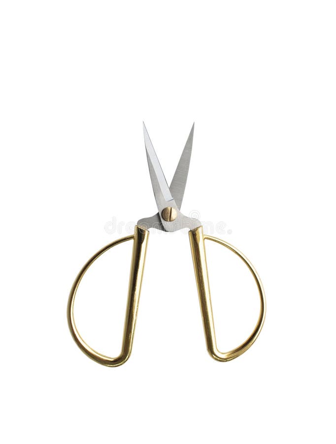 A Single Tailor Gold Scissors Made from Metal for Sewing Isolated on ...