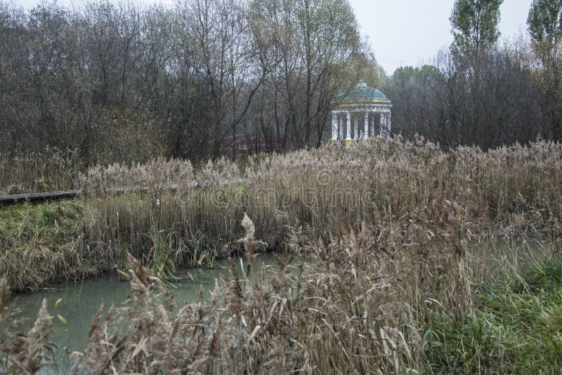 Single Temple in a Tree Forest Near the Lake in a Russian Park Stock ...
