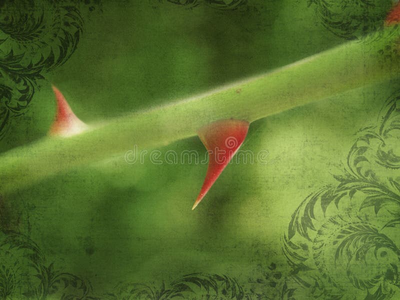 Single thorn stock photo. Image of jousting, shade, folktale - 10024456