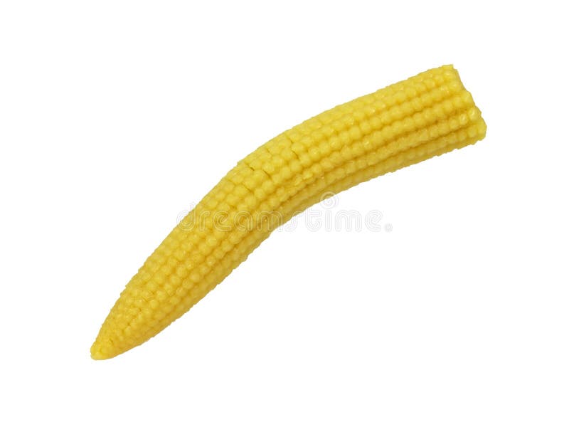 Single Tiny Limp Corn Cob stock image. Image of preserved - 18270205