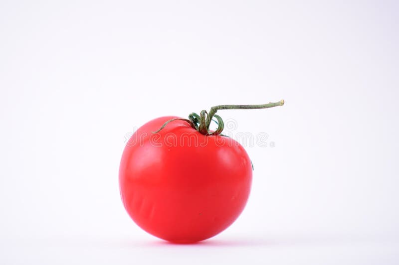 Single Tomato stock image. Image of salad, gravy, tomatos - 12644975
