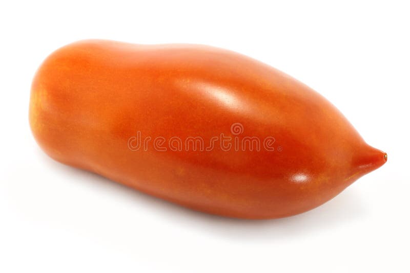 Single Tomato Seed Just Put in the Ground Stock Image - Image of fresh ...