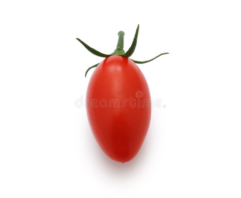 Single red tomato on white stock photo. Image of studio - 33815750