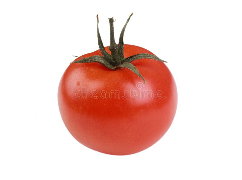 Single tomato stock image. Image of object, single, healthy - 41070975