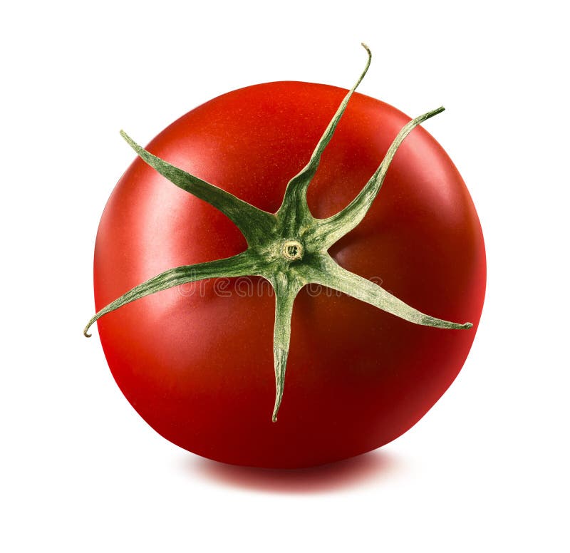 39,617 Single Tomato Stock Photos - Free & Royalty-Free Stock Photos ...