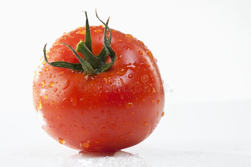 Single Tomato Seed Just Put in the Ground Stock Image - Image of fresh ...