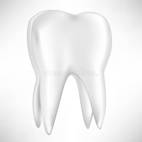 Single Tooth Stock Illustrations – 9,676 Single Tooth Stock ...