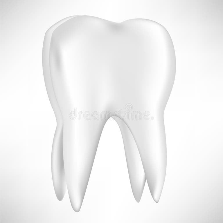 Single Tooth Stock Illustrations – 9,676 Single Tooth Stock ...