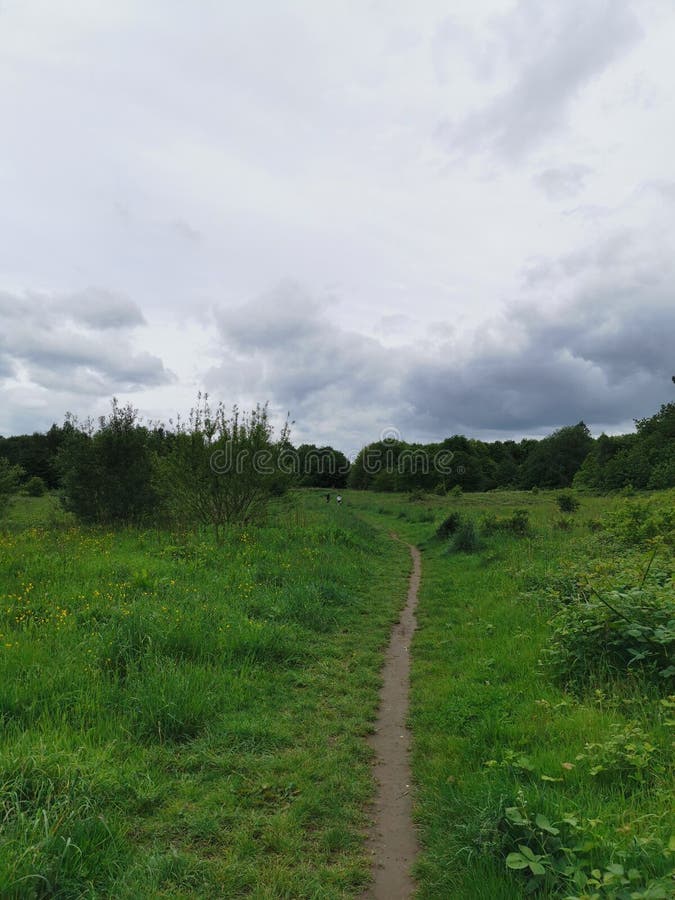 A Single Track Path To the River Irwell Stock Photo - Image of nature ...