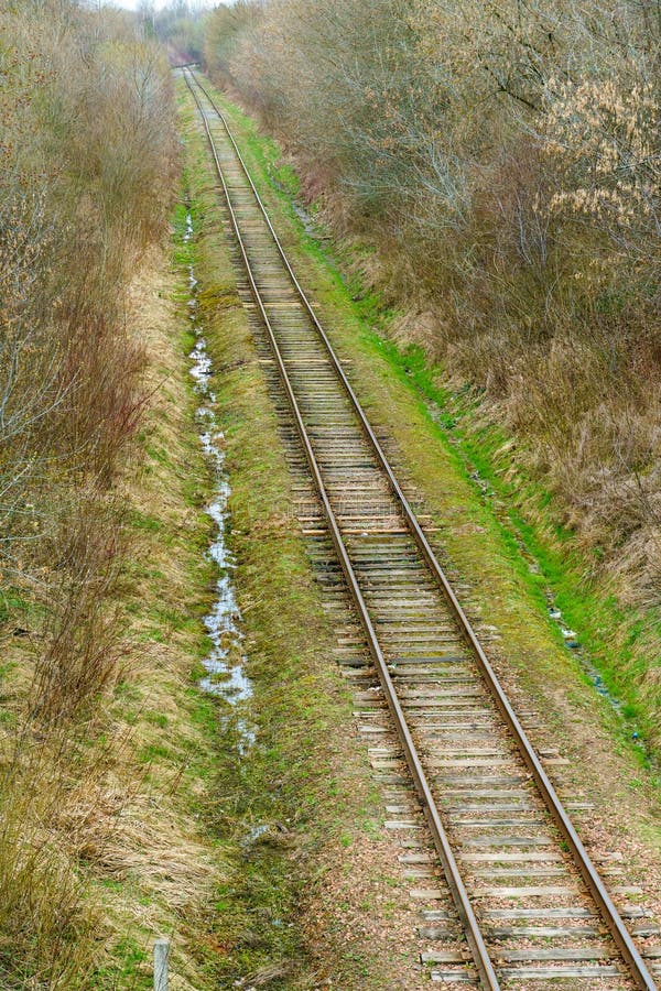 A Single-track Railway Line Runs through a Forest Thicket. Top View of ...